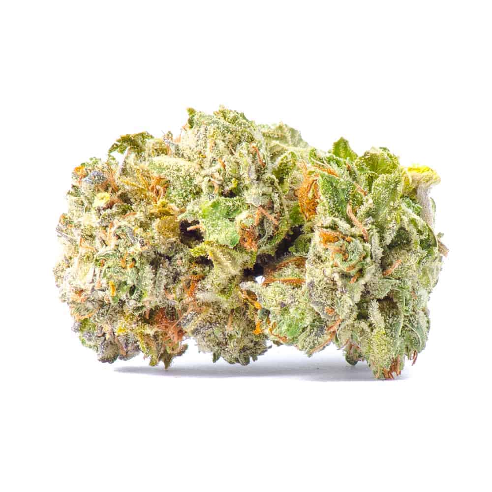 Chemo – Indica | Goldbuds